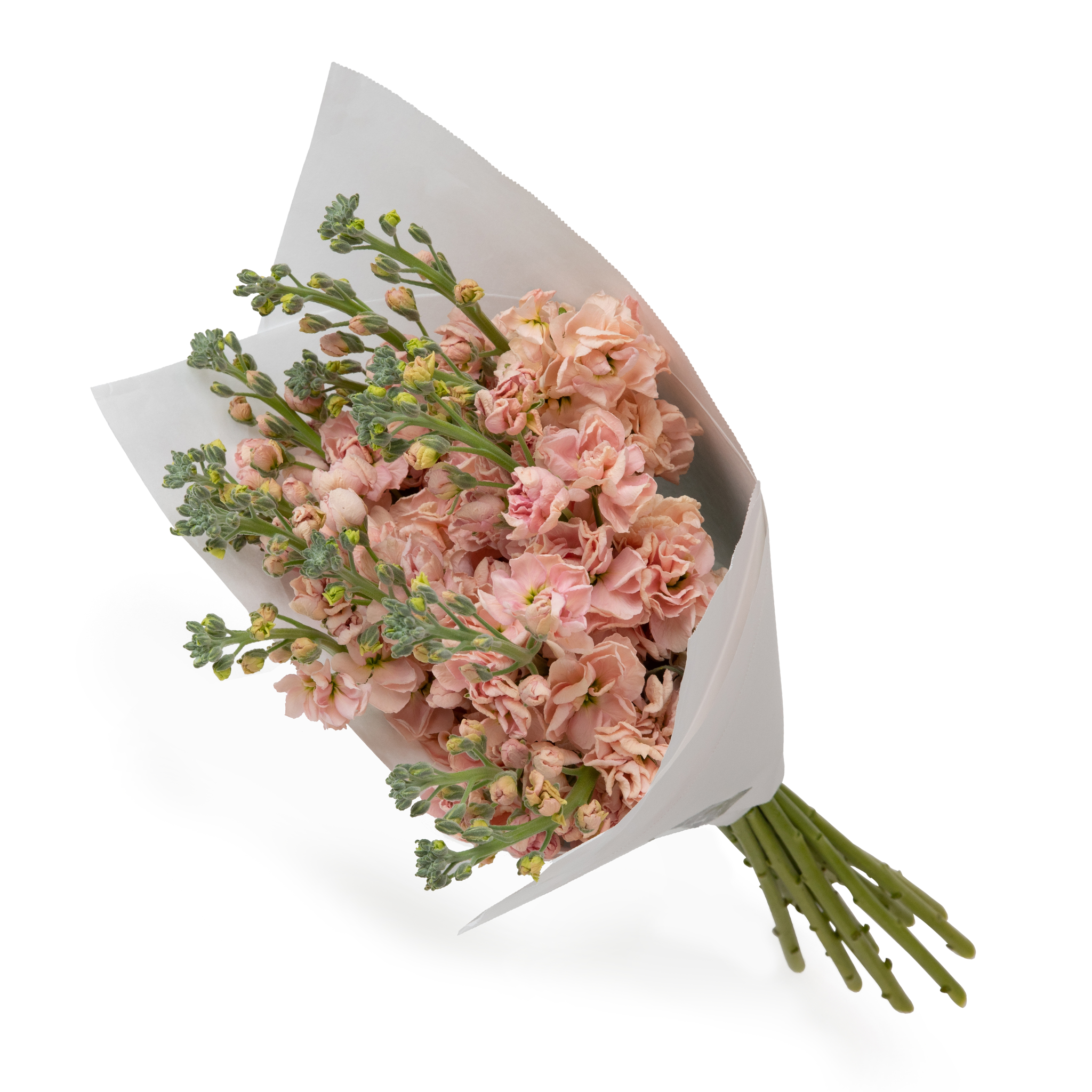 All One Thing – Camelback Flowershop