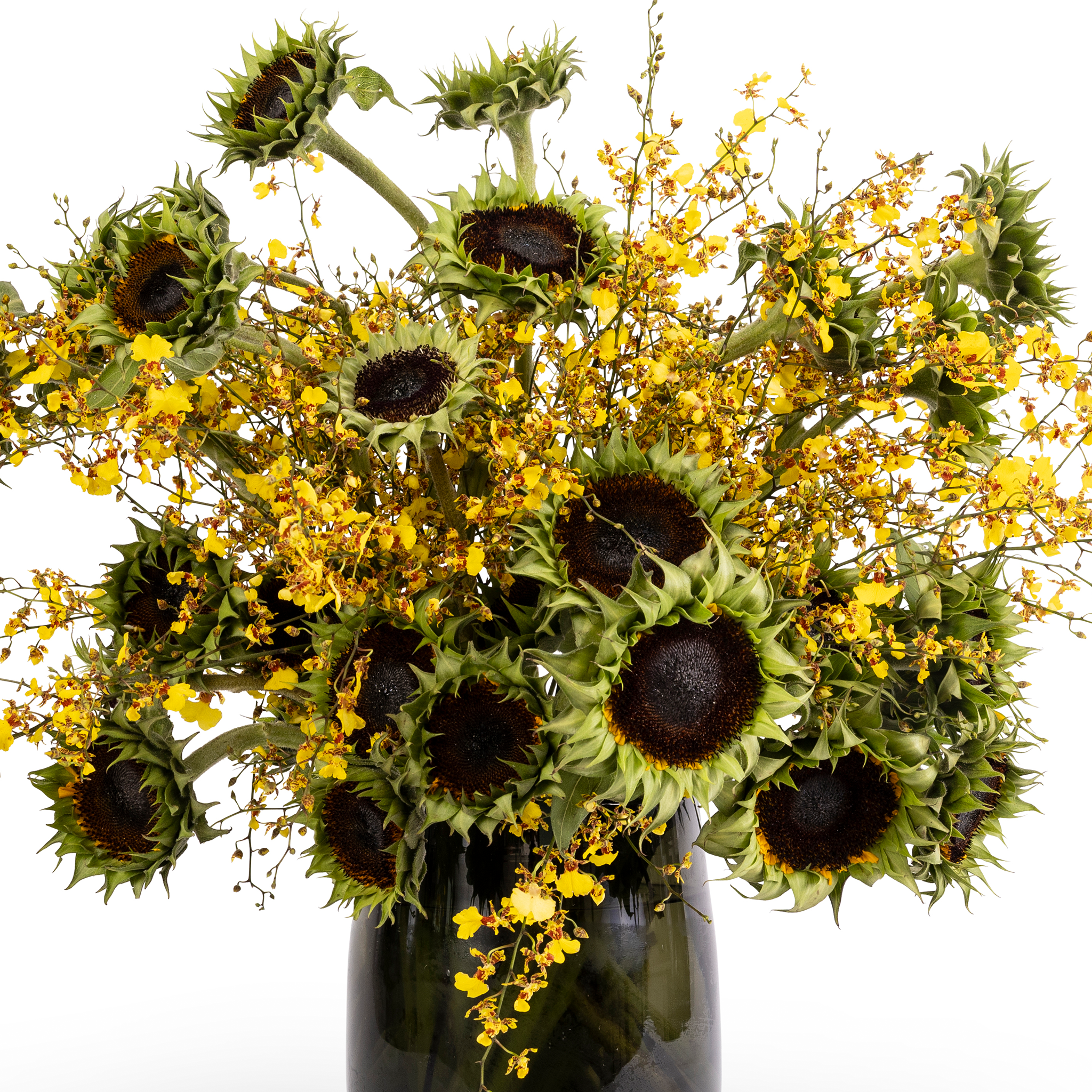 Autumn 2025 – Camelback Flowershop