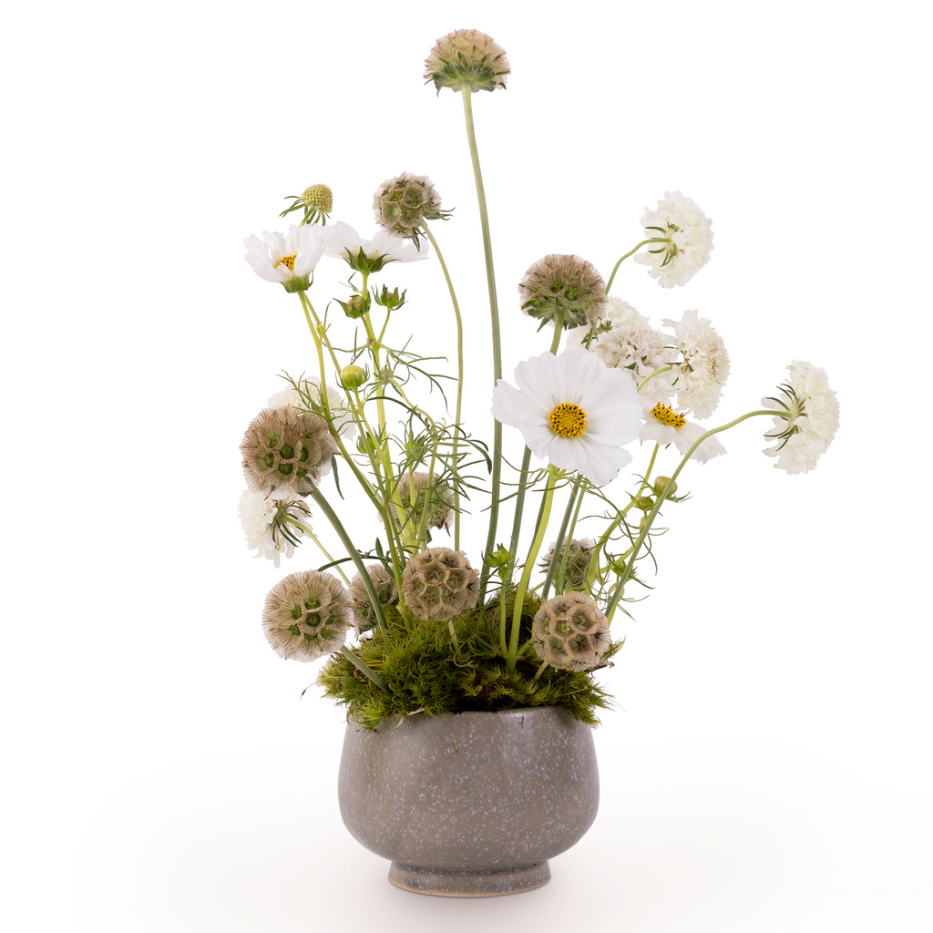 Petite Garden – Camelback Flowershop