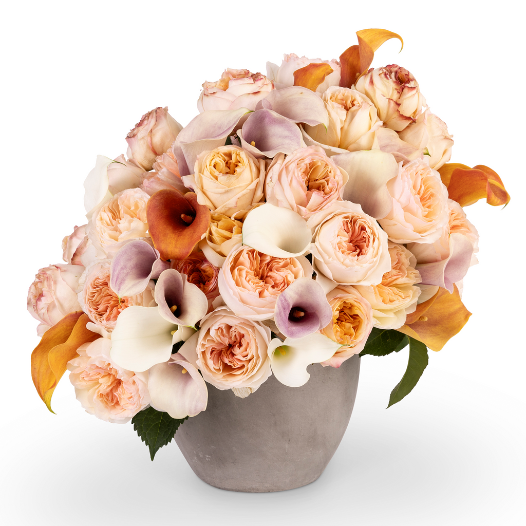 Dolly Parton – Camelback Flowershop