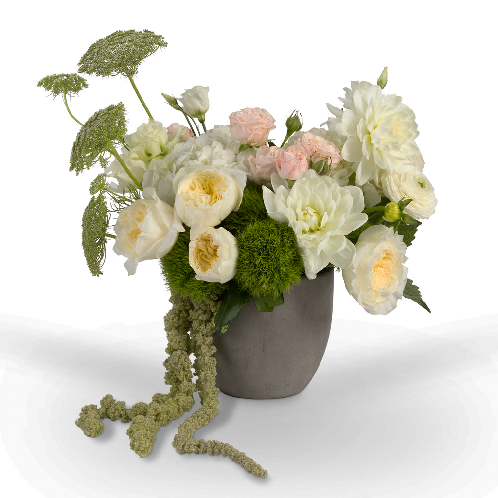 Echo Summer Canyon – Camelback Flowershop