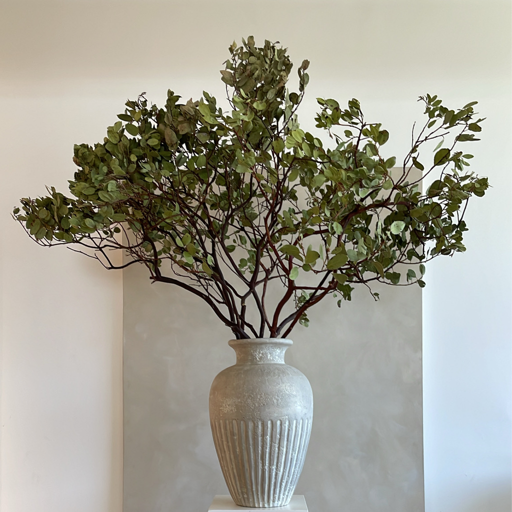 Manzanita Branches – Camelback Flowershop