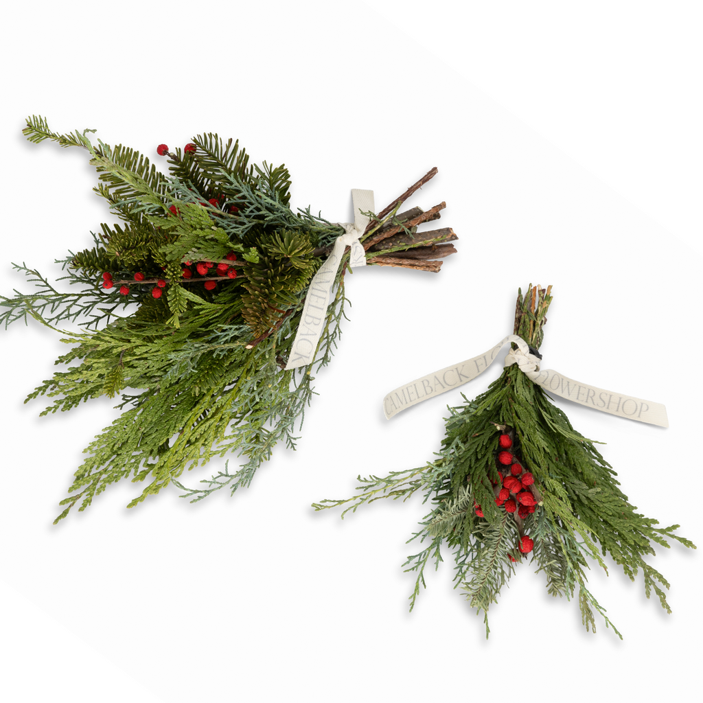 Mistletoe Kit – Camelback Flowershop