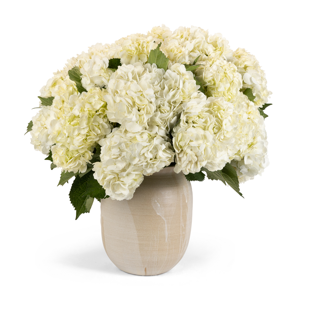 Camelback Classic – Camelback Flowershop
