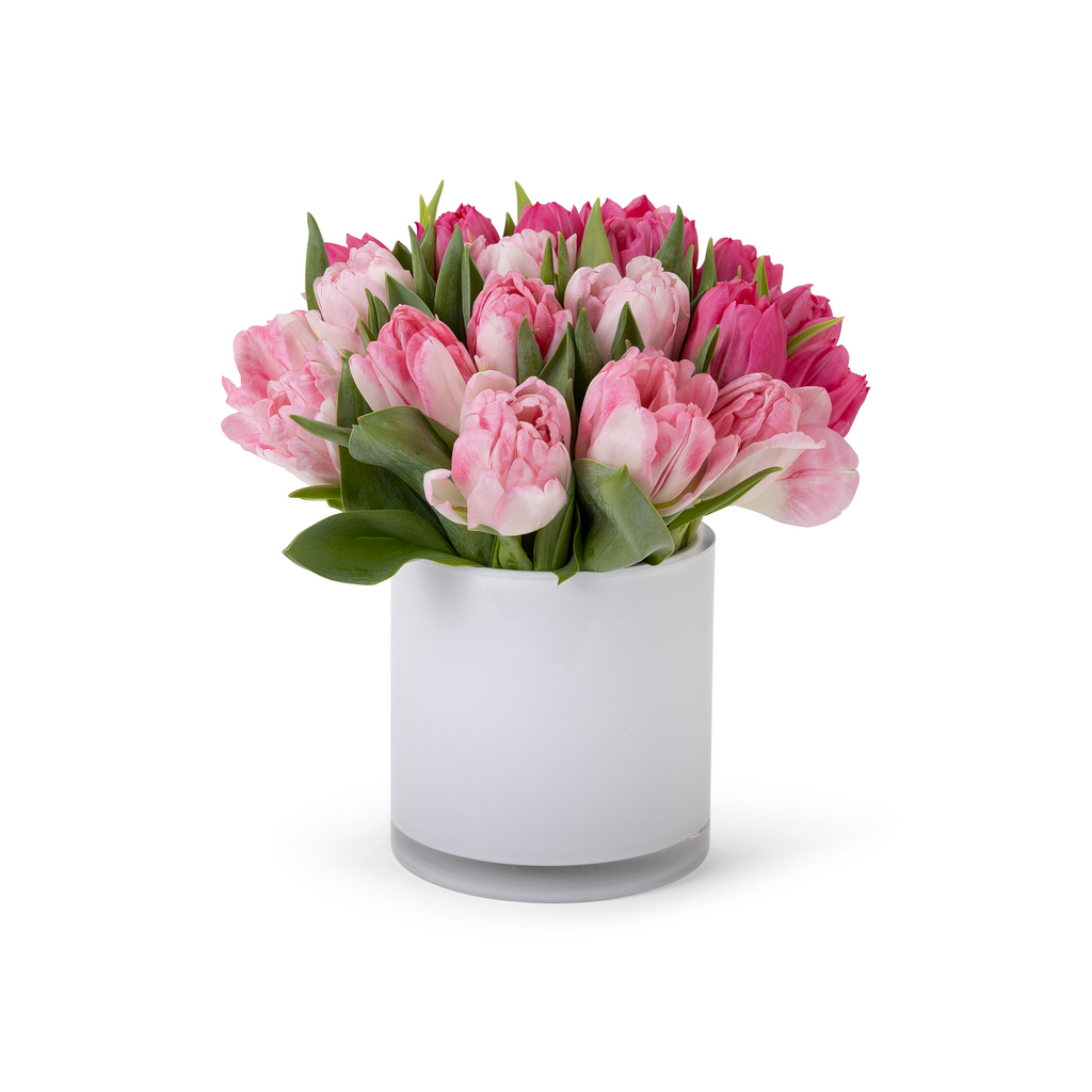 La Petite Pink Tulipe – Camelback Flowershop
