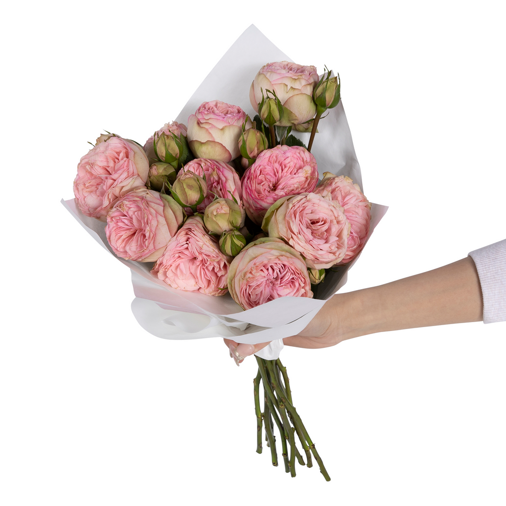 Garden Roses – Camelback Flowershop